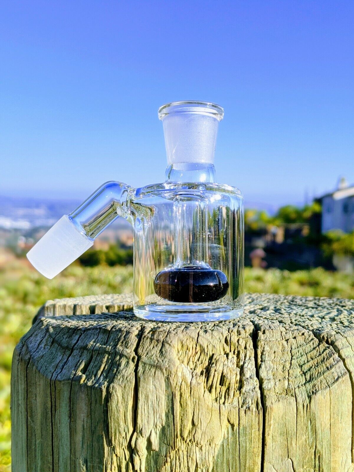 3" 14mm 45° Black Mini Ash Catcher – Higher Education